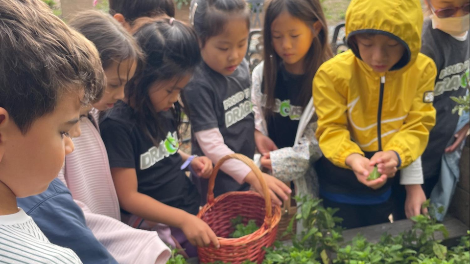 Igniting Curiosity: The Power of Provocations