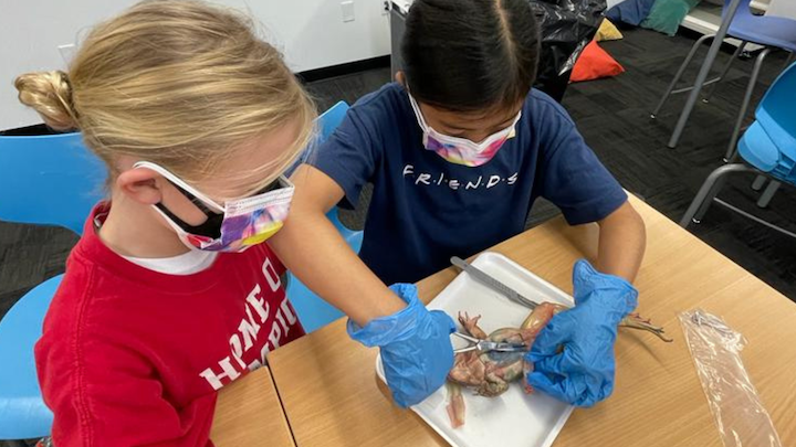 The Spiraling Approach of the PYP's STEM Program