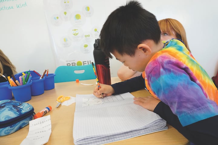 From Concrete to Abstract: How Singapore Math Fosters Understanding