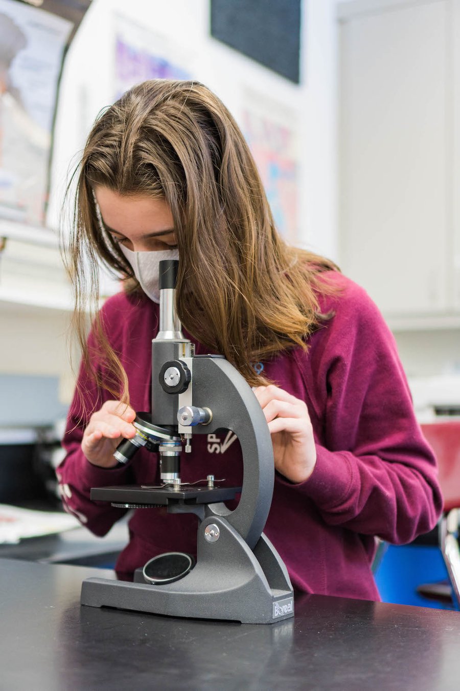 Integrated Science in the Middle School Years